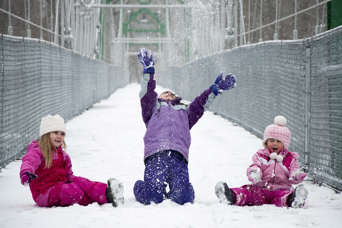 Exploring the Relationships between Twins and Other Siblings